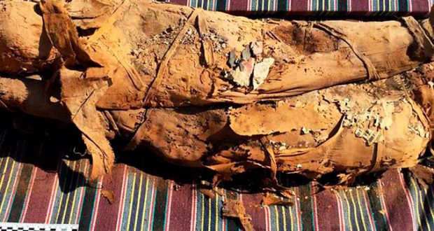 Hallan al menos 34 momias en una tumba milenaria en Egipto - AGENDA56