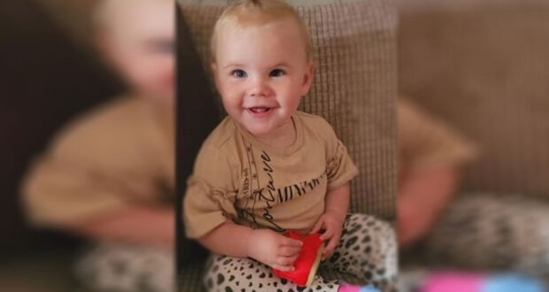 Beba de 1 año muere tras ser mutilada por el perro nuevo de la familia ...